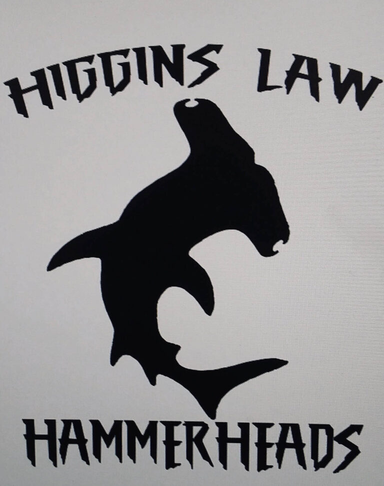 Cara Higgins - Attorney and Certified Mediator