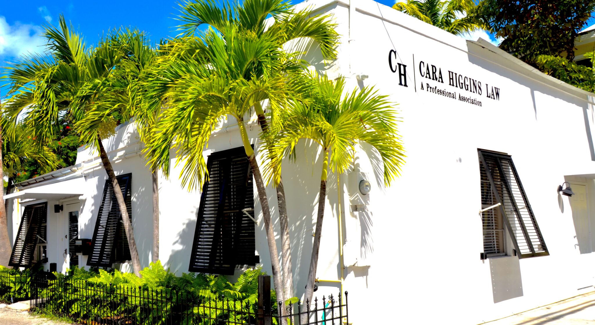 Cara Higgins - Attorney and Certified Mediator